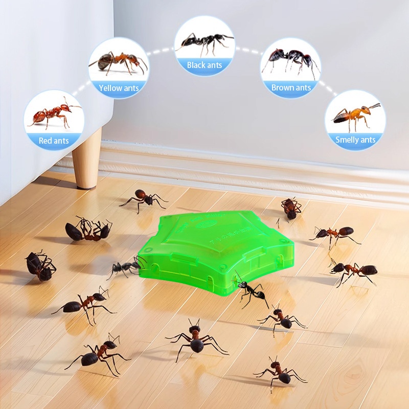 No ants for 50 years Ant killer bait 螞蟻藥 ubat semut racun semut ...