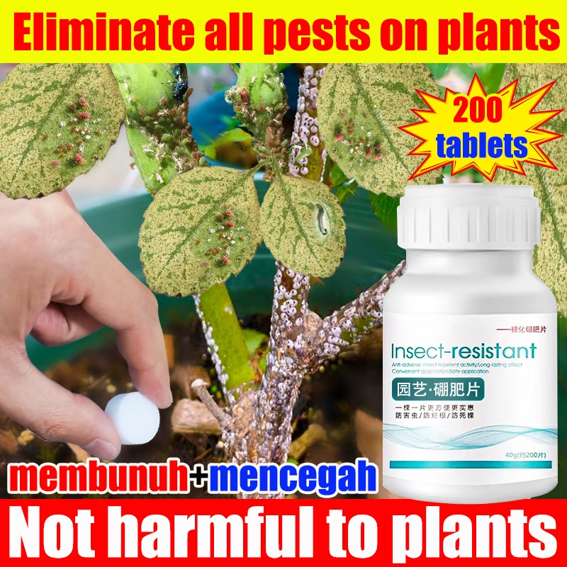 No pests for 10 years Plant Insect Resistant Tablets 200ps Gardening ...