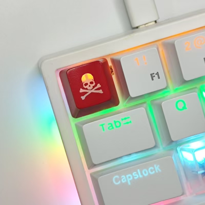 Translucent Keycap Skull Unique Mechanical Keyboard OEM R4 Keycap SFRW ...