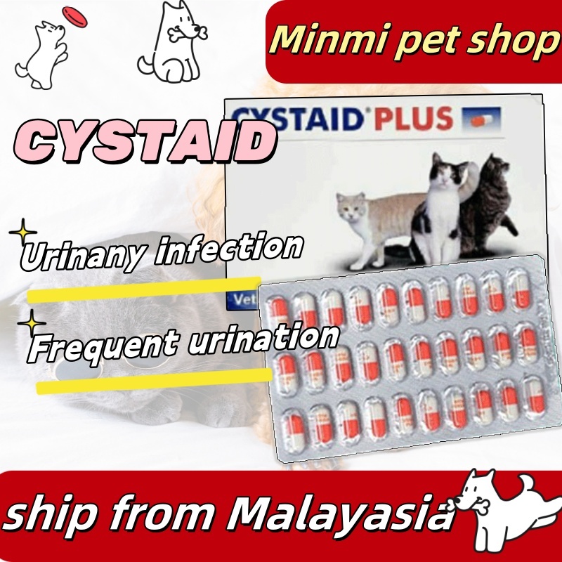Cystaid for Urinary System Problems in Cats / Nutritional Supplement ...