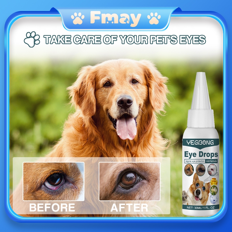 Dog Eye Drops Dog Eye Infection Treatment Relieves Red Eye and Allergy ...