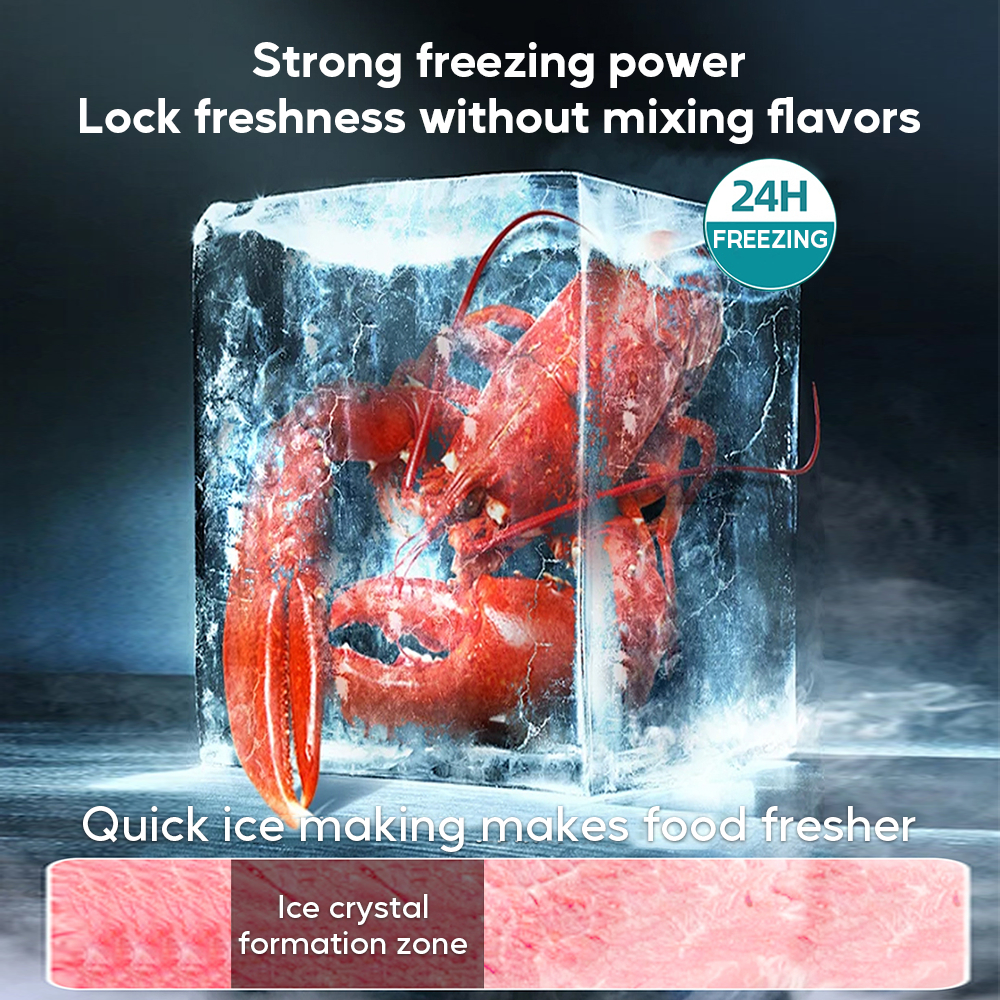 HOMEFUN Mini Refrigerator With Freezer 2 Door Refrigerator Energy ...