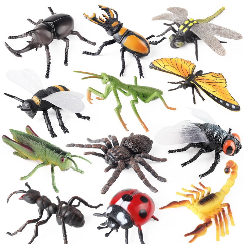 insect scorpion fly wasp monarch butterfly dragonfly stag beetle insect ...