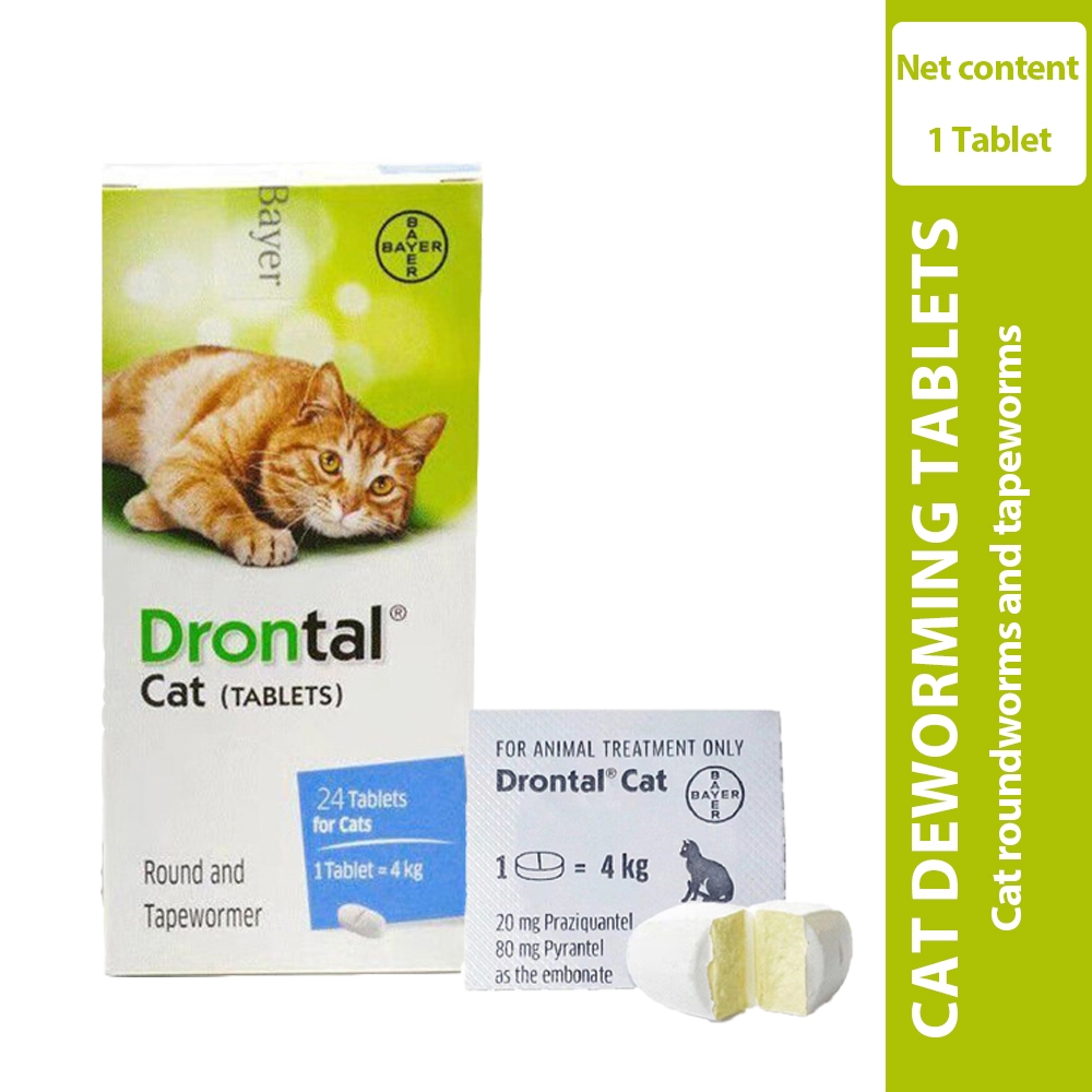 BAYER Drontal Plus Tablet Dewormer 1 Tablet for Cat Roundworms and ...