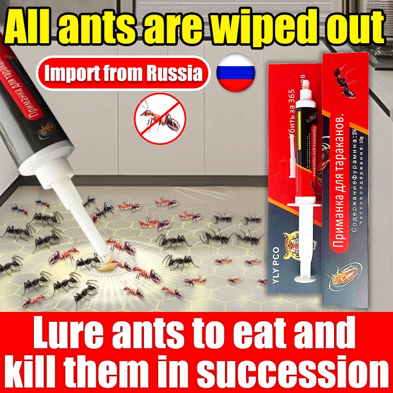 All cockroaches and ants were eliminated roach and ant killer bait ...