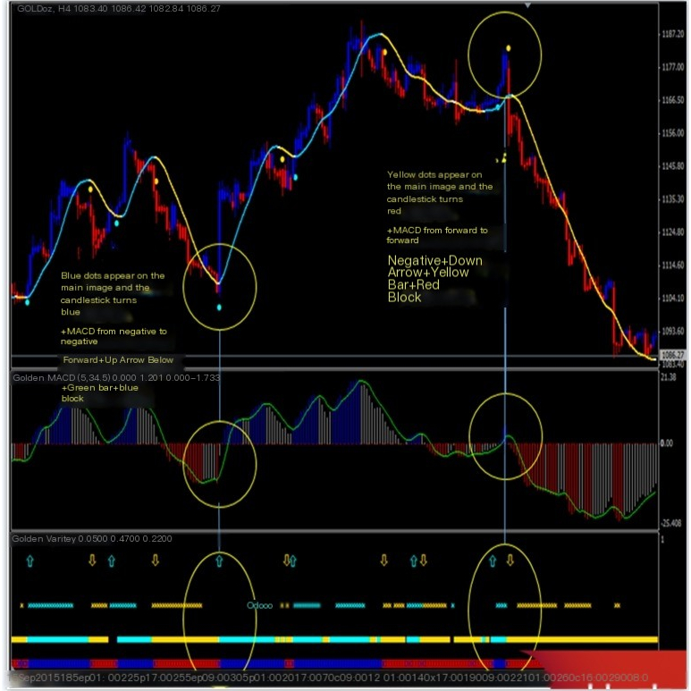 Homework Step by Step Win Foreign Exchange MT4 Indicator Technology Analysis Indicator MT4 ...