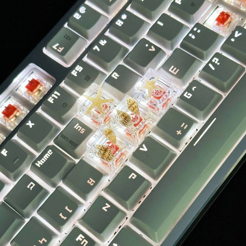 Conch Starfish Personalized Keycaps 4 keys Light-transmitting Key Cap ...