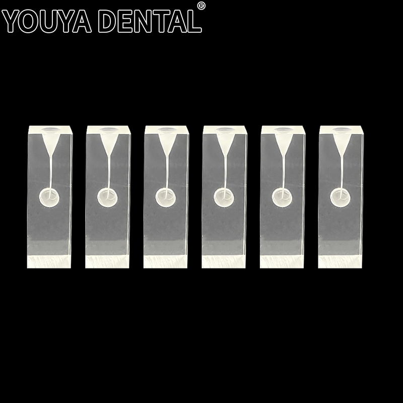 1pcs Endo Teeth Dental Root Canal Practice Block Study Model RCT Pulp ...