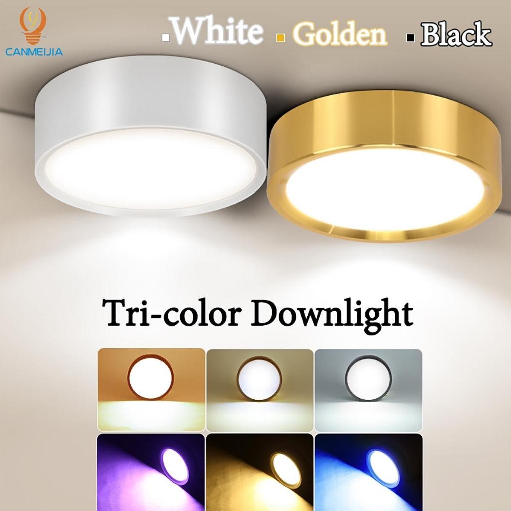 Down Light Led Ceiling Lights Modern 3 Colors LED Surface Downlight 3W ...