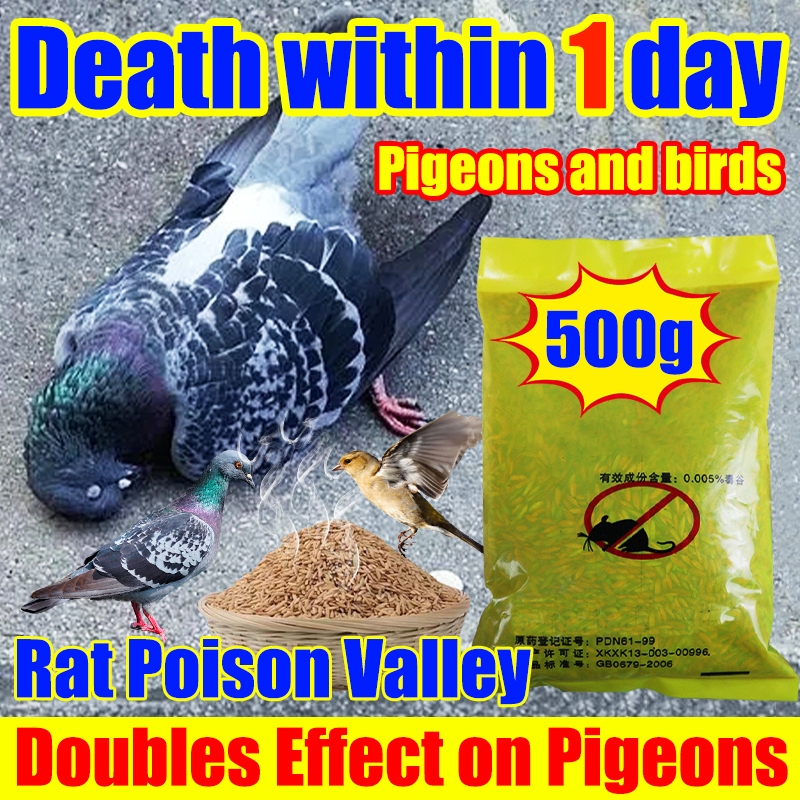 Rat Poison Valley Doubles Effect on Pigeons 【Ready Stock】racun burung ...