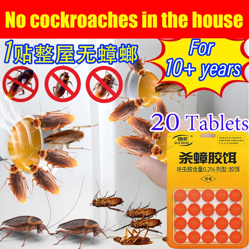 No cockroaches in the house for 10 years Cockroach killer 20 pieces/box ...