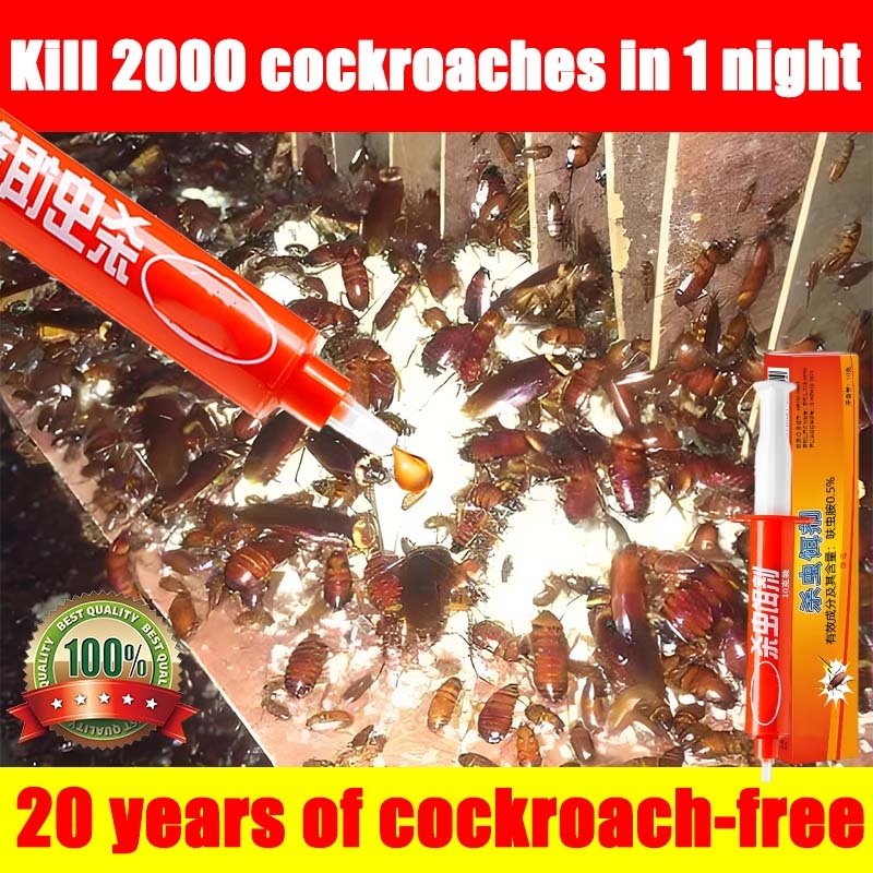 【In Stock】Cockroach killer 2000 cockroaches in 1 night Cockroach bait ...