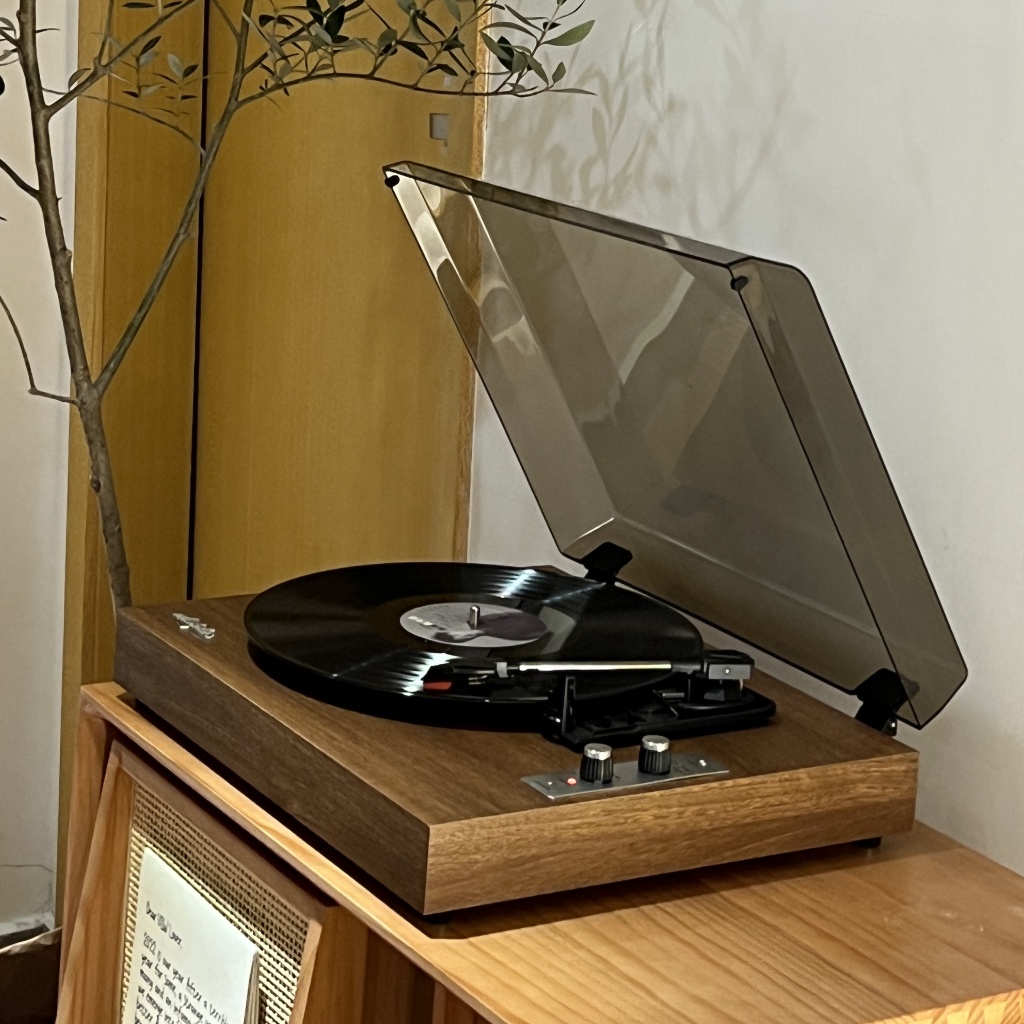WhatPlus From1900 vinyl record player with retro atmosphere | Shopee ...