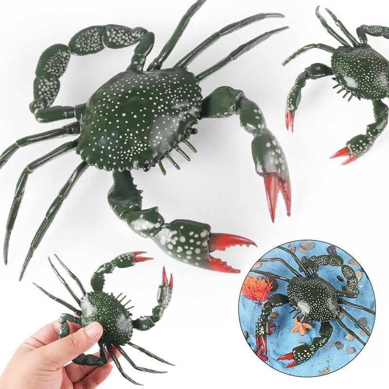 Children cognitive simulation ocean animal model crab toy horseshoe ...