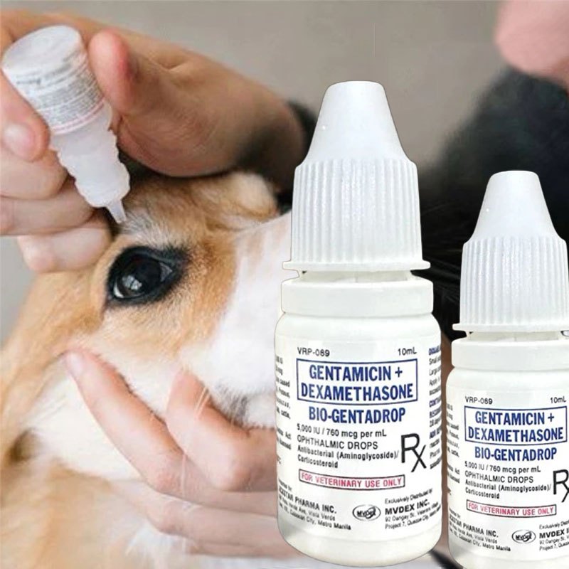 Bio-Genta Eye Drops for Pets 10ml | Shopee Malaysia