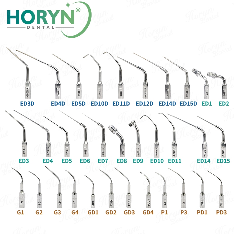 Dental Endo Perio Scaling Tips G P E fit for SATELEC DTE NSK Ultrasonic ...