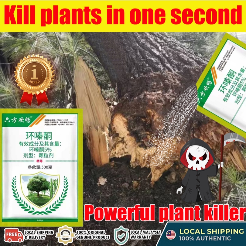 【The tree died in one second】racun rumput paling berkesan One tree dies ...