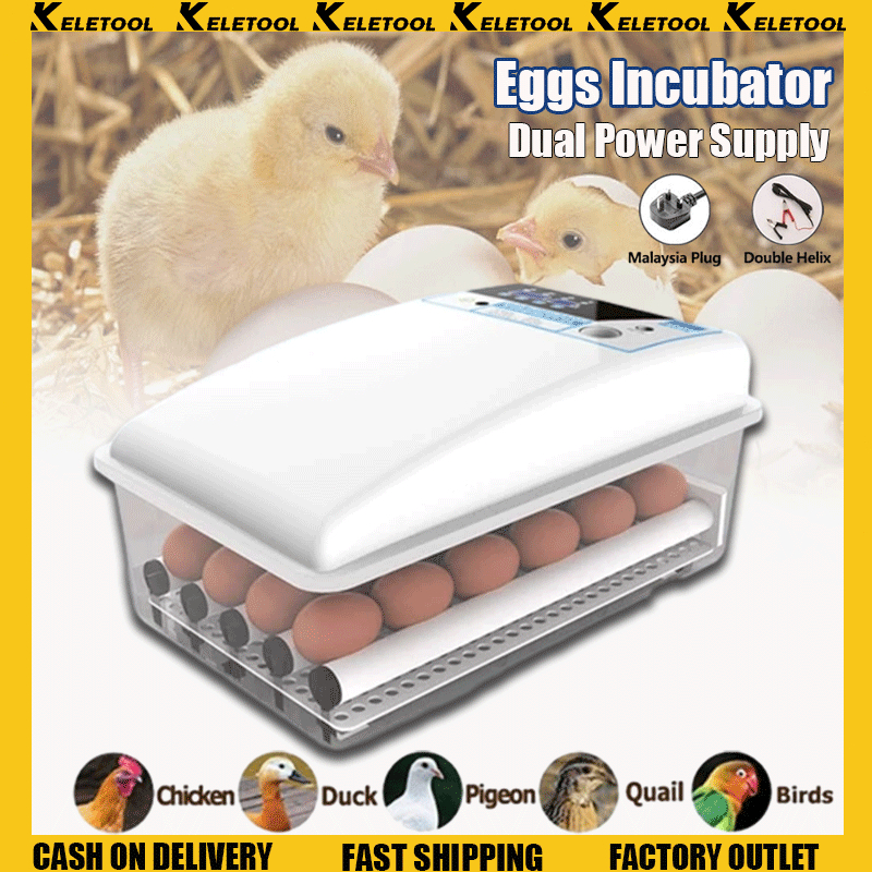 Incubator Egg Automatic Egg Machine Small Chicken Incubator Mesin Telur ...