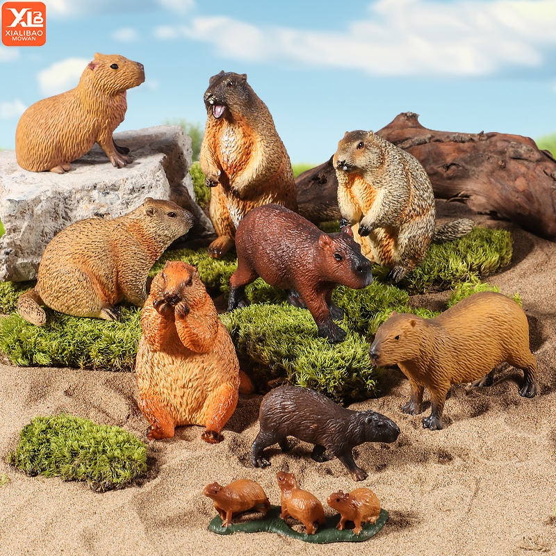 Wild Animals Simulation Rodent Marmot Capybara Model Action Figure ...