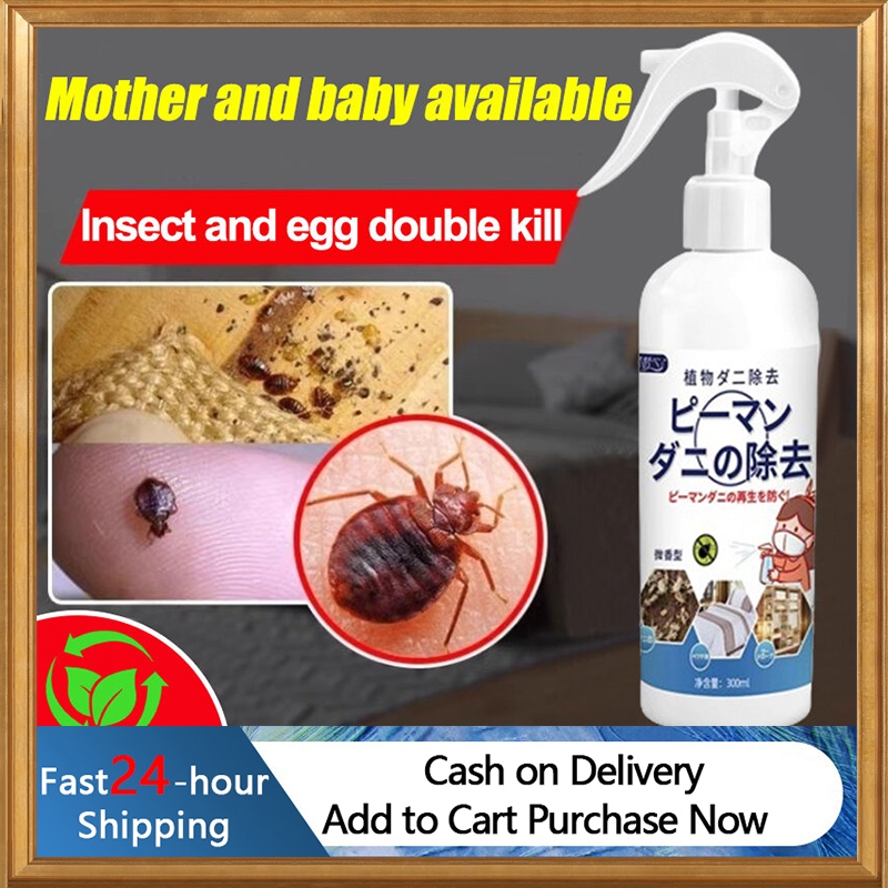In Stock Fast Dispatch Kill Bed Bugs Their Eggs Both Bed Bug