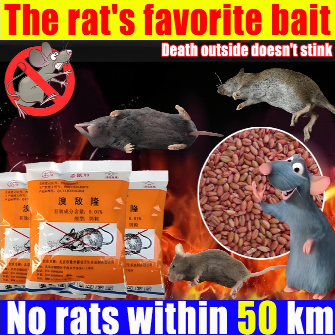 No mice within 50 kilometers Racun tikus paling kuat Mouse Luv To Eat ...