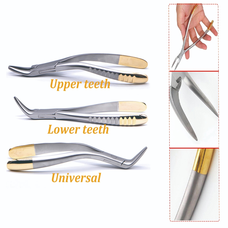 Curved Dental Extraction Forcep Root Fragment Minimally Invasive Tooth ...