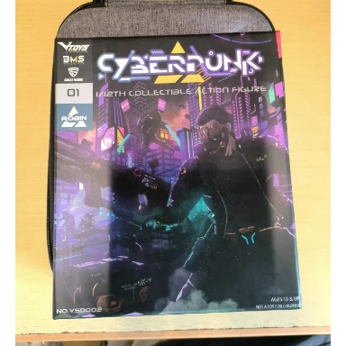 Vtoys Robin 6-inch Soldier Cyberpunk Regular Edition, 1/12 Cloth Action ...