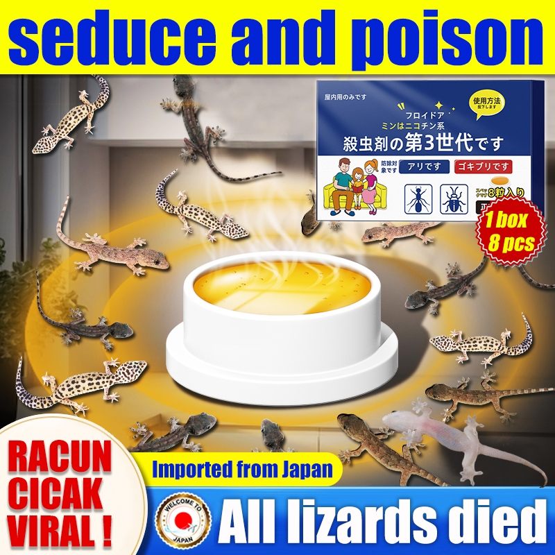 【seduce and poison】lizard killer bait ubat cicak paling berkesan 8pcs ...