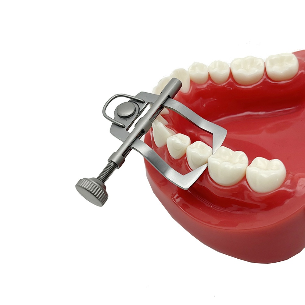 Dental Anterior/Posterior Tooth Divider Separator Retractor Retainer ...