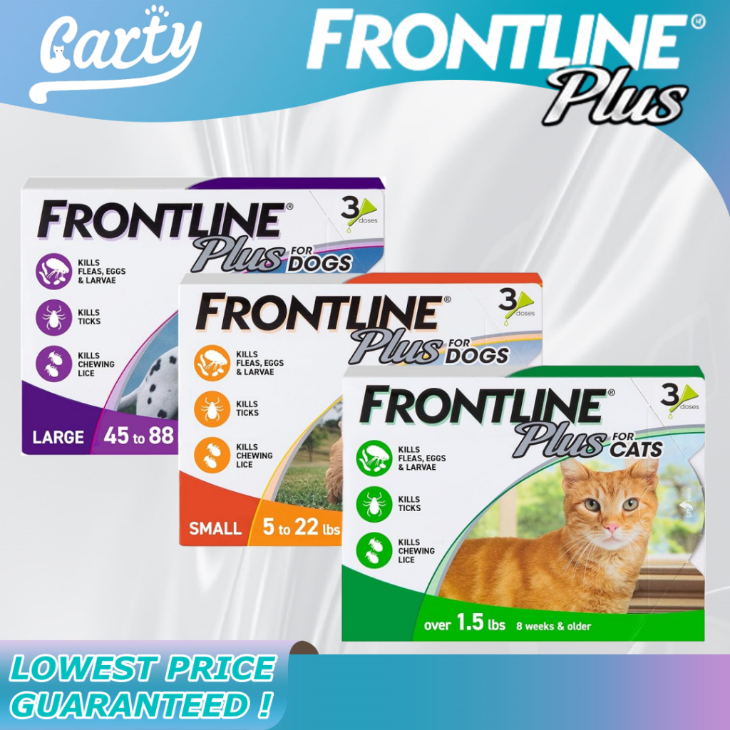 Frontline plus Spot On For Cat and Dog 3 pipets pet flea control ...