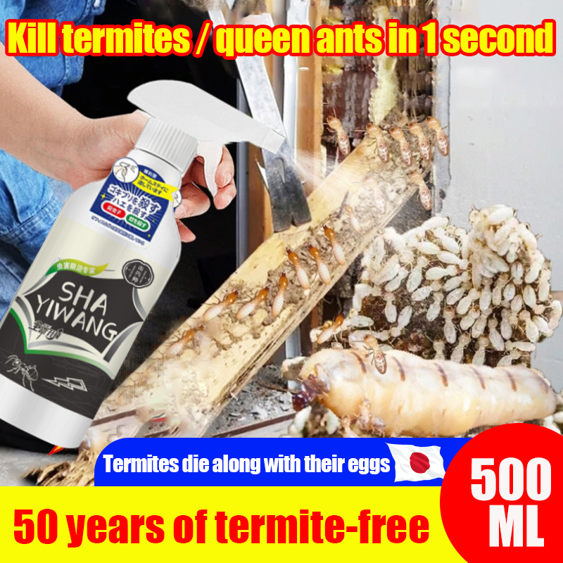 Japan import racun anai anai spray 500ML Kill termites / queen ants in ...