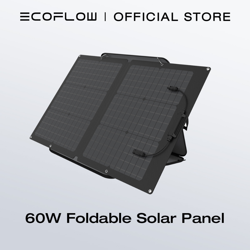 EcoFlow 60W Foldable Solar Panel, High-Efficiency, IP68 Waterproof, Off ...