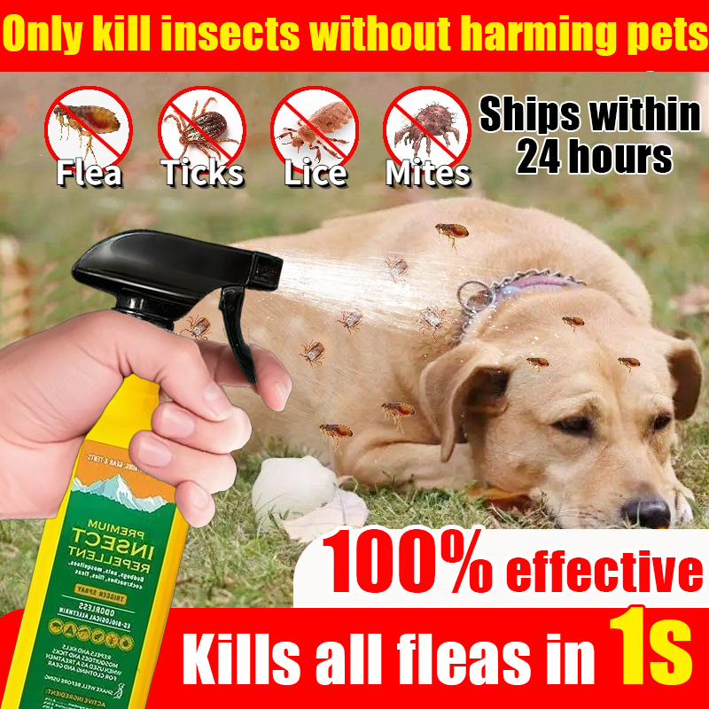 【24 hours delivery】 flea and tick spray cat flea spray advocate cat ...