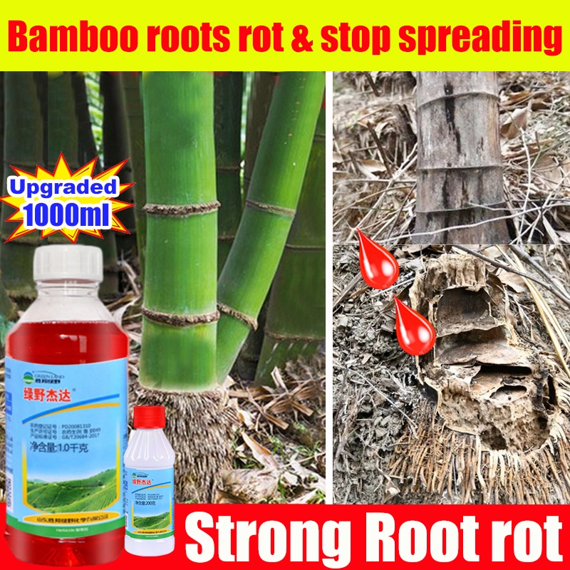 【One drop, roots rot】Completely kill bamboo large trees and weeds ...