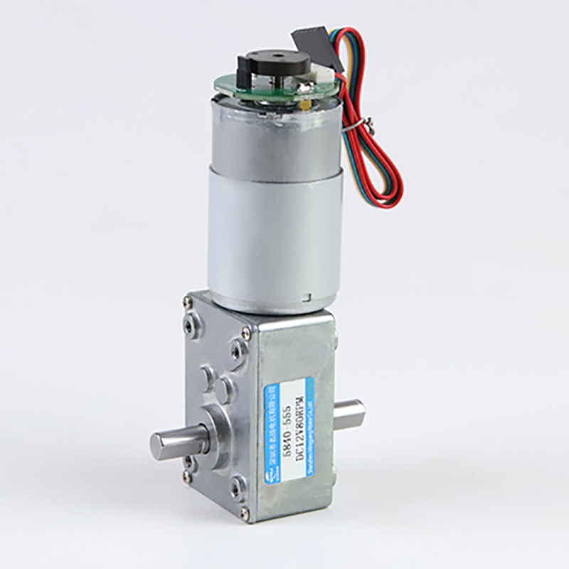 5840-555 Worm Gearbox Double Output Shaft DC Gear Motor with Encoder ...