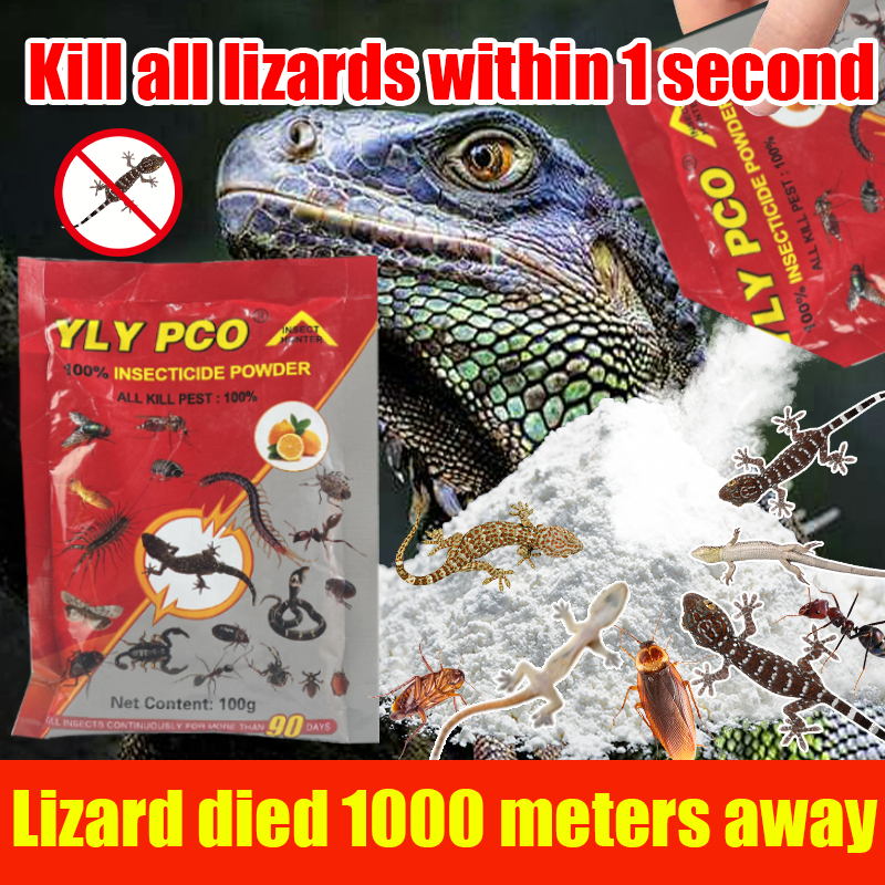 Kill all lizards within1second racun cicak paling kuat 100g 100 years ...