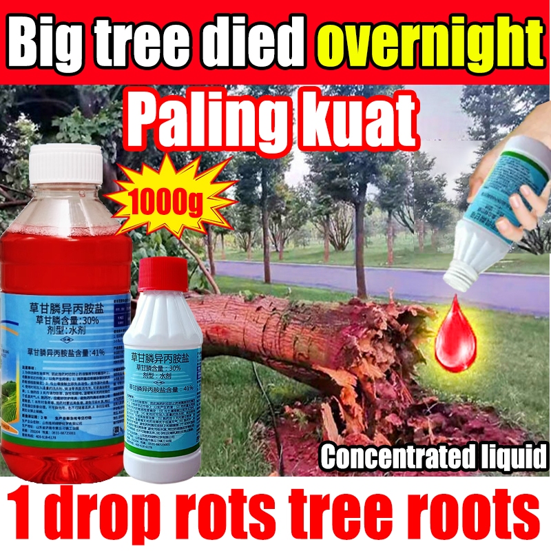 Tree killer 1000ml Concentrated formula Racun pokok kayu besar Kill big ...
