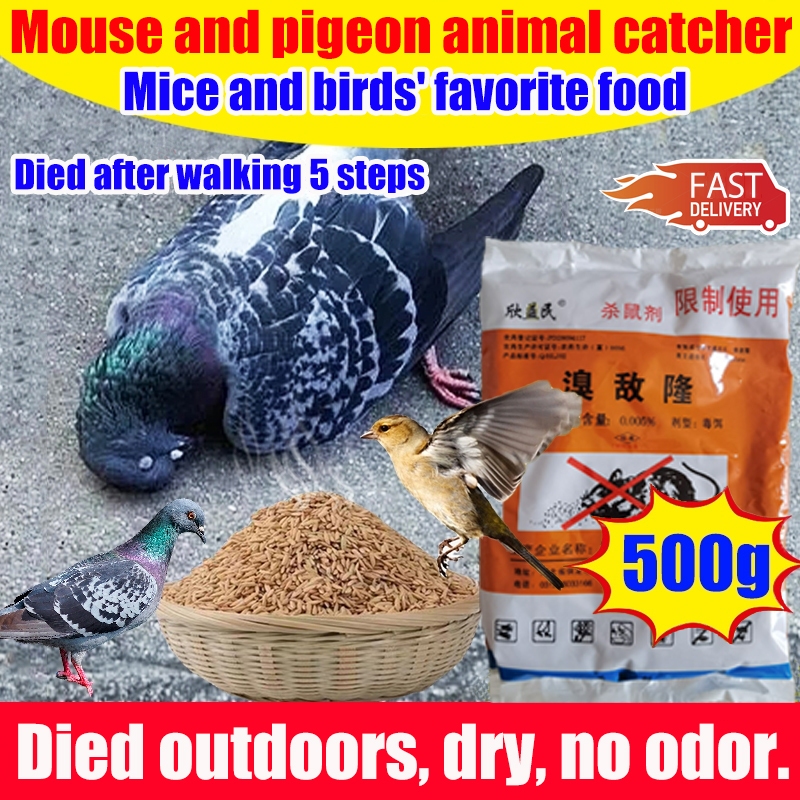 【Ready Stock】 racun burung bird killer 500g Bird repellent pigeon ...