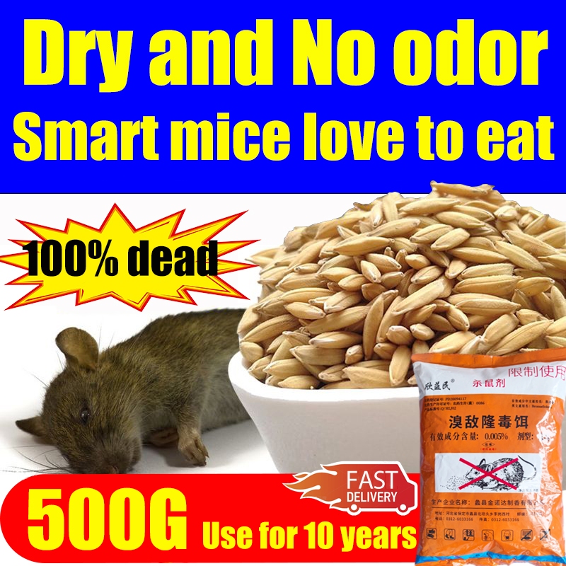 100% mortality rate 500g racun tikus paling kuat 100% valid rat bait ...