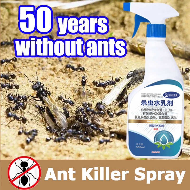 【Malay Spot】 Ant Killer Spray Ubat Semut Titik Semut Racun Ant ...