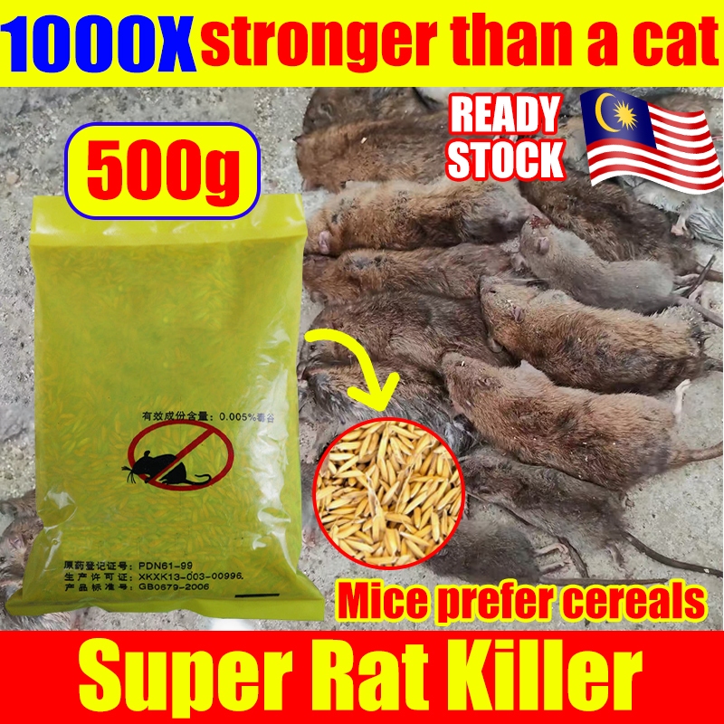 1000X stronger than a cat ubat racun tikus paling kuat Super Rat Killer ...