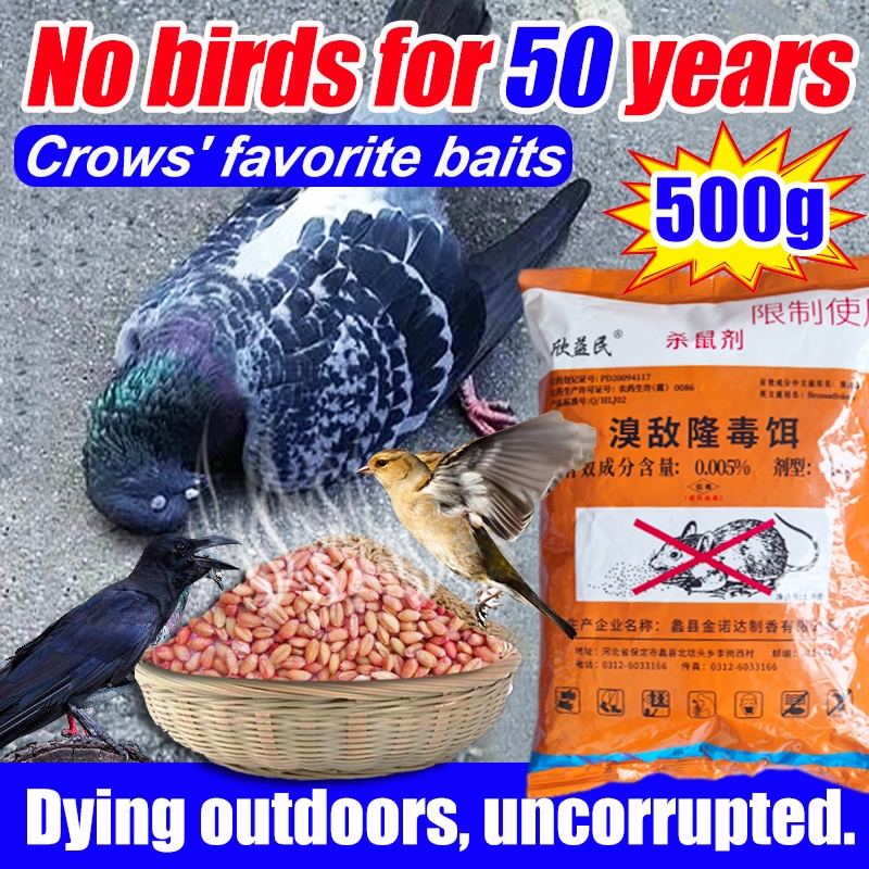 【Ready Stock】Racun burung Bird killer 500g Bird repellent pigeon poison ...