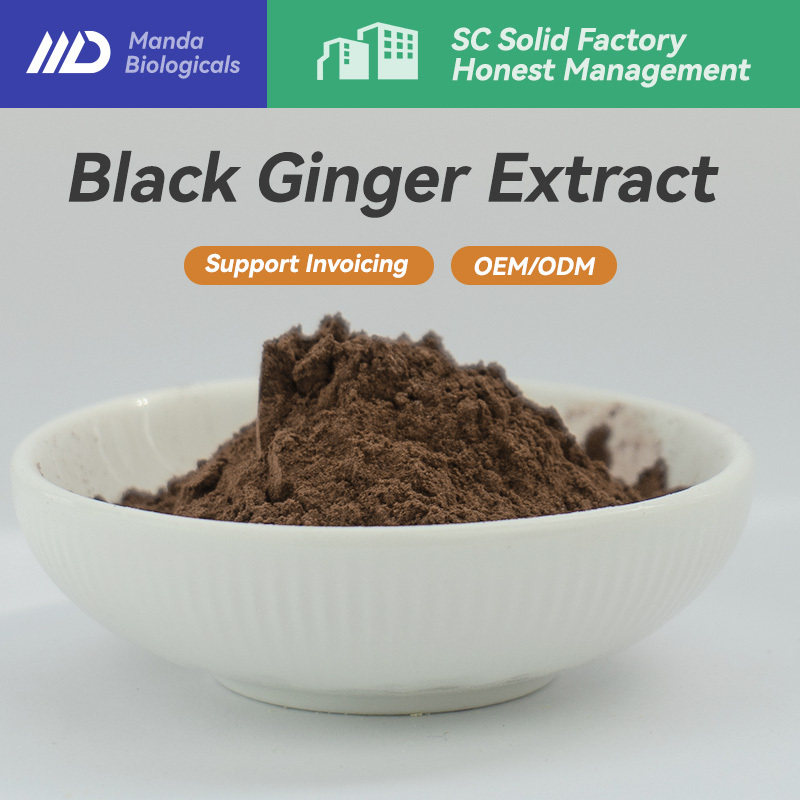 Factory Wholesale Black Ginger Extract Water-soluble Pure Powder | Rich ...