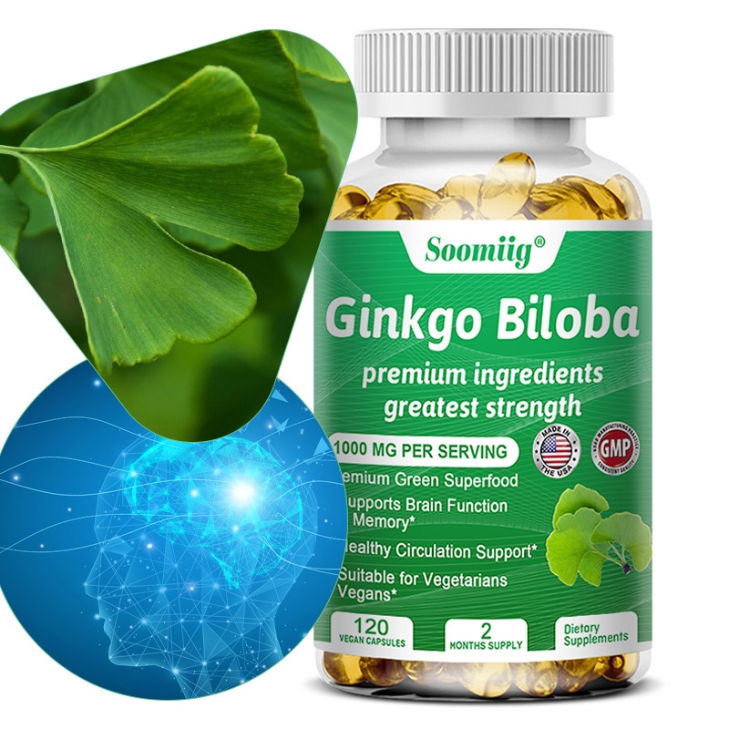 Ginkgo biloba helps improve brain function and memory, brain alertness ...