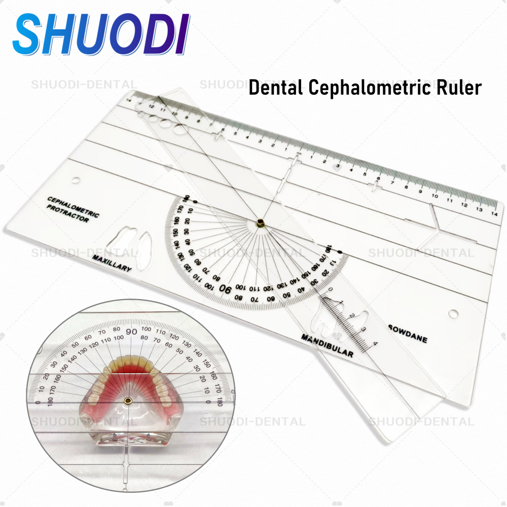 1 piece Dental Guide Plate Dental Cephalometric Ruler X-ray Protractor ...