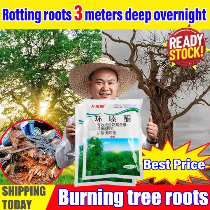 【Malay spot】alion arcun rumput parakuta Weeding，rotten tree eradicator ...