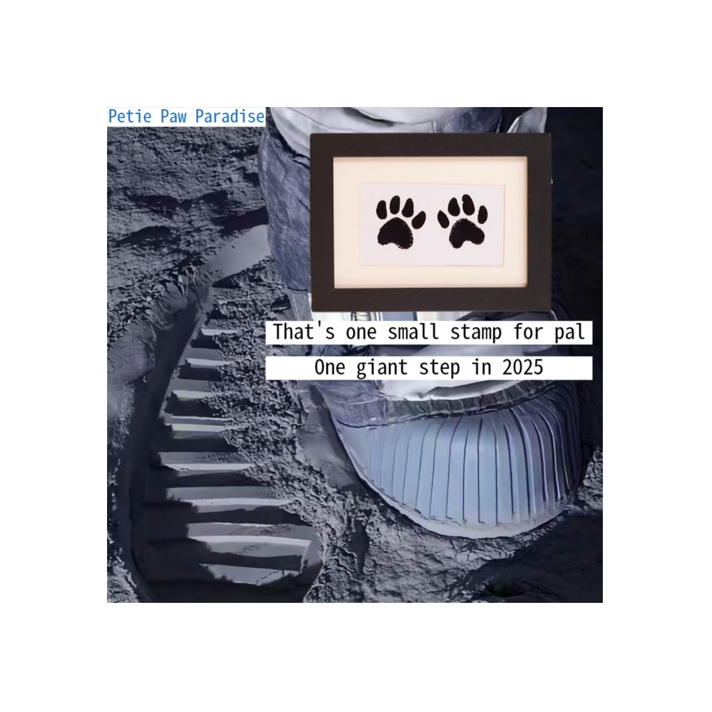 Pet Paw Print Ink Pad | Shopee Malaysia