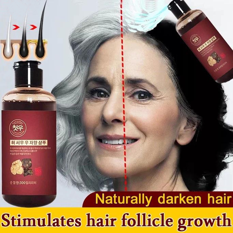 Herbal natural Polygonum multiflorum shampoo with natural ingredients ...