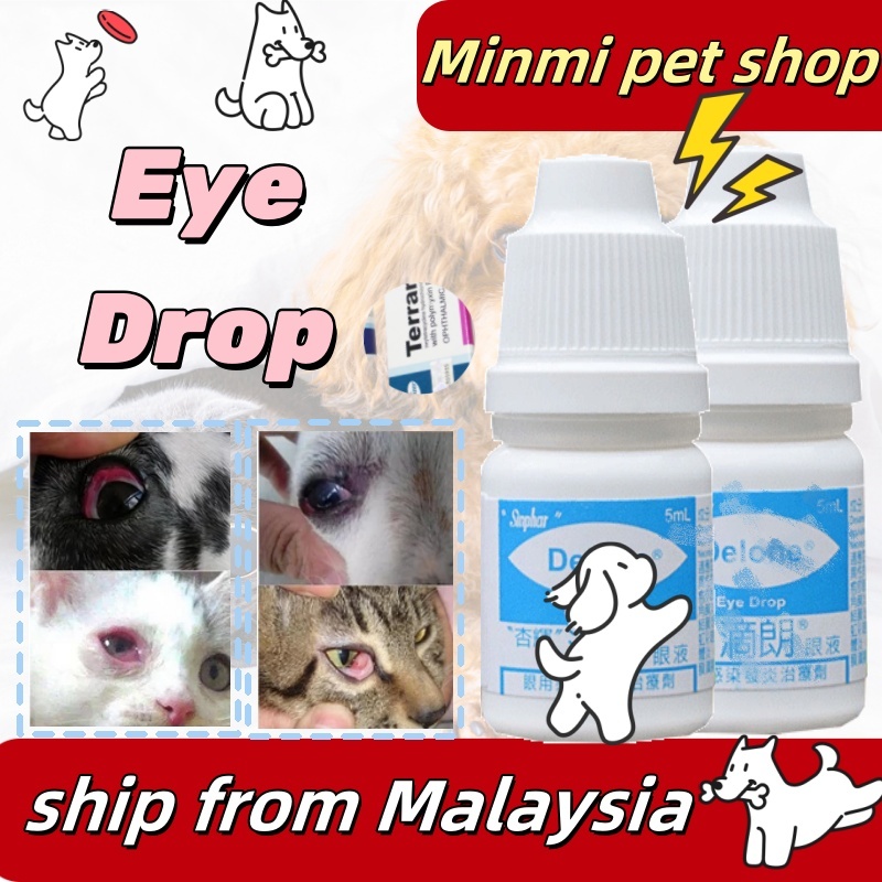 Pet Eye Drops for Cat Dogs Eye Infection Opthalmic Eye Drops Remove ...