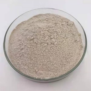 Novobac Streptomyces Fungicide 1kg - Novobac Streptomyces rochei ...